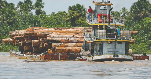 THE NEXT PANDEMIC? - PressReader