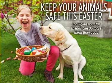 KEEP YOUR ANIMALS SAFE THIS EASTER - PressReader