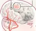 Simple steps to prevent stroke - PressReader