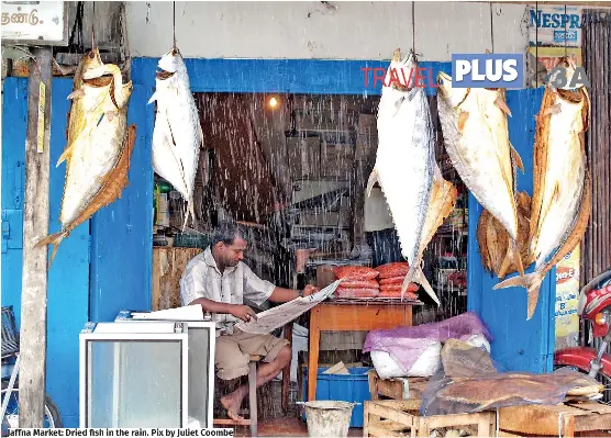 Hooked on Jaffna - PressReader