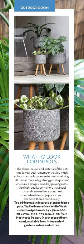 WHAT TO LOOK FOR IN POTS - PressReader