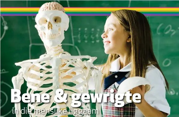 Alles oor bene en gewrigte - PressReader