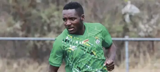 Local strikers struggle to breach 20-goal mark - PressReader