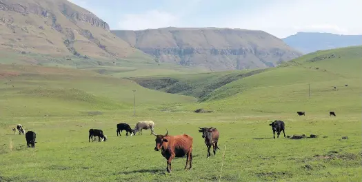 OUR BURNING PLANET - PressReader