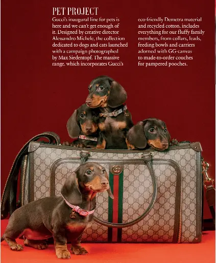 PET PROJECT - PressReader