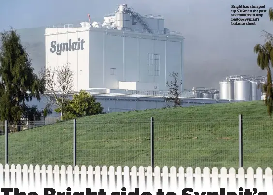 The Bright side to Synlait’s happy story of Christmas - PressReader