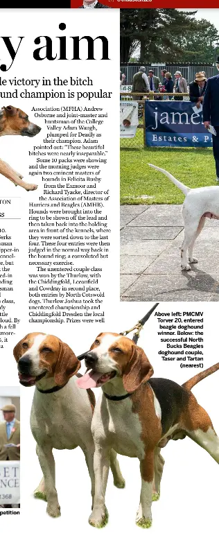 A deadly aim - PressReader