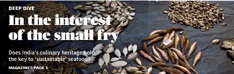 In the interest of the small fry - PressReader