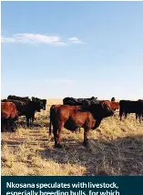 Nkosana Mtambo - PressReader