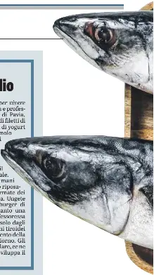 La ricetta per i burger, ottima idea per fare il pieno di iodio - PressReader