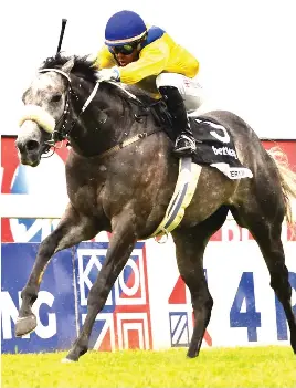 Classic set to reveal their flair - PressReader