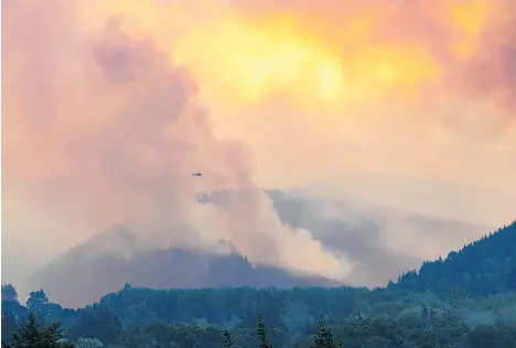 Foresters slow off the mark on climate - PressReader