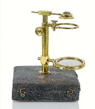 Artefact from Cook’s first visit to NZ for sale - PressReader