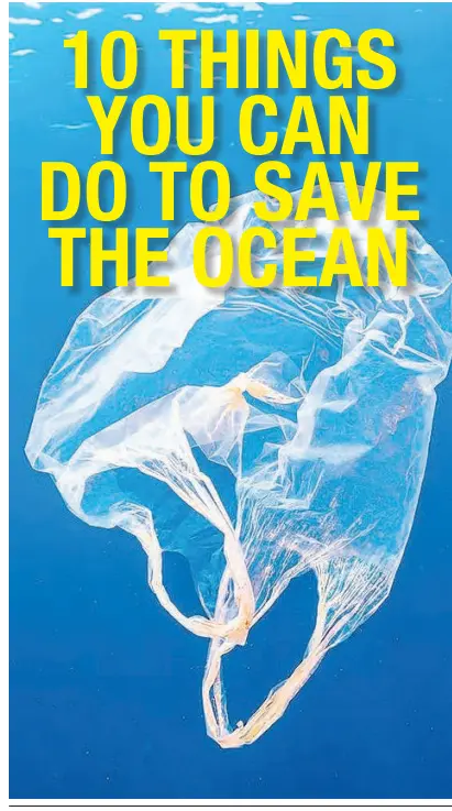 10 THINGS YOU CAN DO TO SAVE THE OCEAN - PressReader