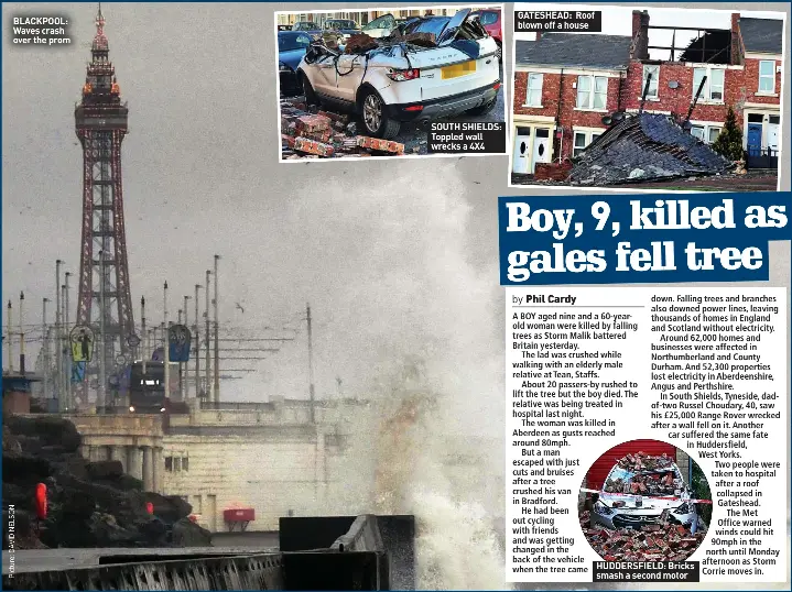 Boy, 9, killed as gales fell tree - PressReader
