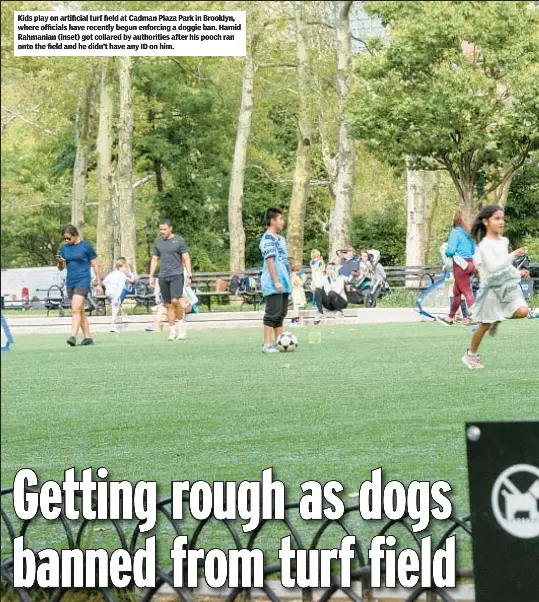 Getting rough as dogs banned from turf field - PressReader