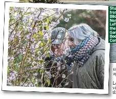 WINTER WALKS TO STROLL INTO 2026 - PressReader