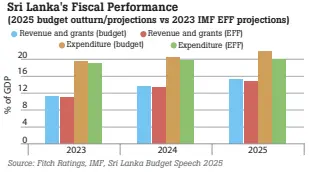 Budget 2025 signals fiscal ambition but risks remain: Fitch - PressReader