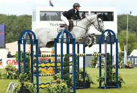 Gentle giant steps up for victory - PressReader