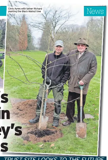 Tree-planting is a family affair in Anglesey Abbey’s famous gardens ...