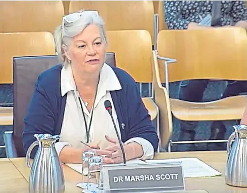 Victim groups tell of fears over new child hearings Bill - PressReader