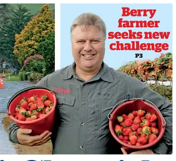 Berry farmer seeks new challenge - PressReader