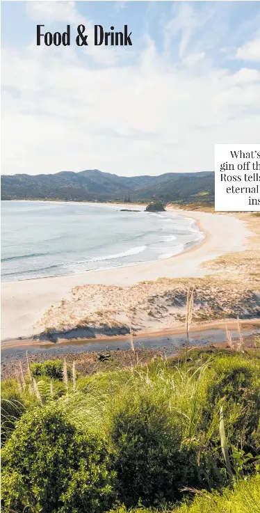 Andi Ross makes gin off the grid on Great Barrier Island - PressReader