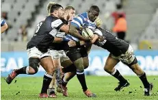 WP destroy Sharks to end Currie Cup on high - PressReader