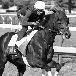 Promising Brown pair get campaigns started - PressReader