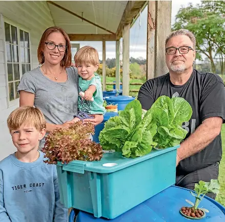 Hydroponic hobby grows into full-time job - PressReader
