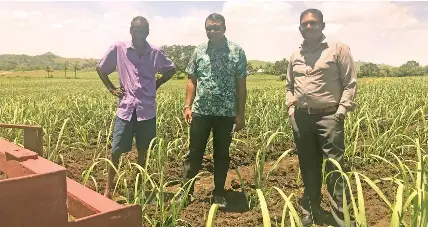 FSC Aims to Harvest 2 Million tonnes of Cane - PressReader