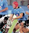 Bulls’ Grobbelaar & Co can catch Bok coach’s attention - PressReader