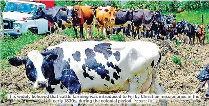 Idea of cattle farming - PressReader