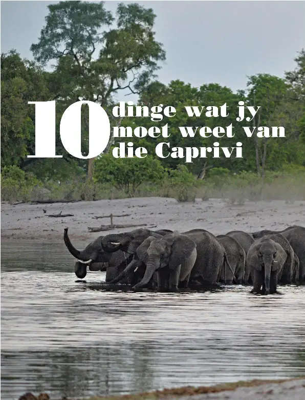 10 dinge wat jy moet weet van die Caprivi - PressReader