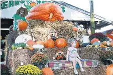 Oh, dear gourd! - PressReader