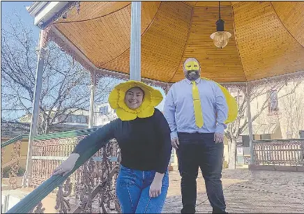 Dubbo’s Daffodil Day to support cancer research - PressReader