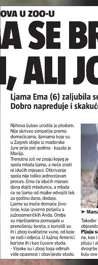 A SE BRINE O NAŠOJ I, ALI JOŠ NEMA IME - PressReader
