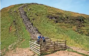 New shoots of recovery on Sycamore Gap tree stump - PressReader