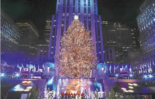 Tree-mendous Xmas tradition - PressReader