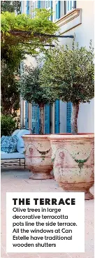 Our island oasis - PressReader