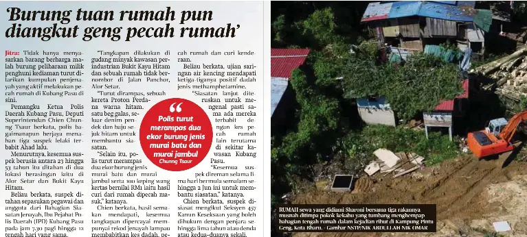 ‘Burung tuan rumah pun diangkut geng pecah rumah’ - PressReader