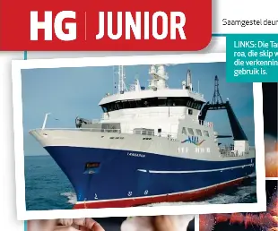 Oorvloed van nuwe spesies diep in die see - PressReader