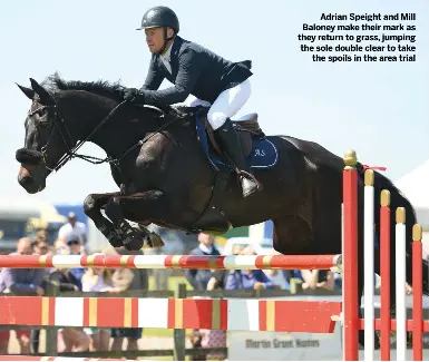 Speight has good reason to be Happy - PressReader