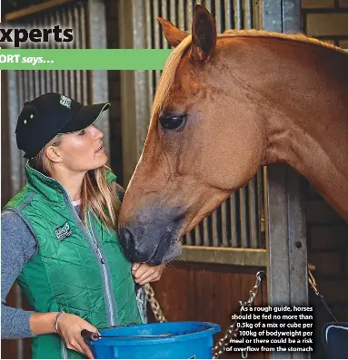 Small meals are the key to successful feeding - PressReader