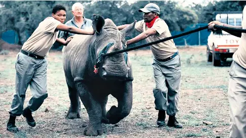 Epic rhino move makes history - PressReader