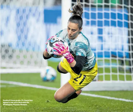 Keeper seeks a challenge - PressReader