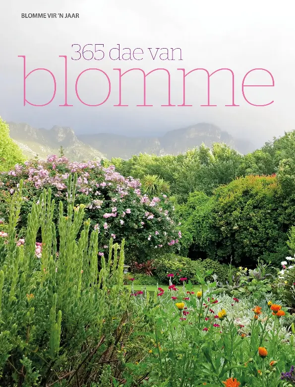 365 dae van blomme Beplan en plant reg, en jy hoef nooit weer sonder ...