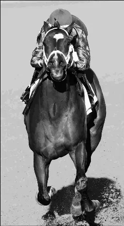 Nash rambles in maiden win, looking like a Derby horse - PressReader