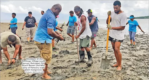 Youth, resort and ministry staff plant mangroves - PressReader