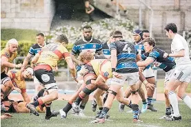 Meads Cup campaign over for Swamp Foxes - PressReader